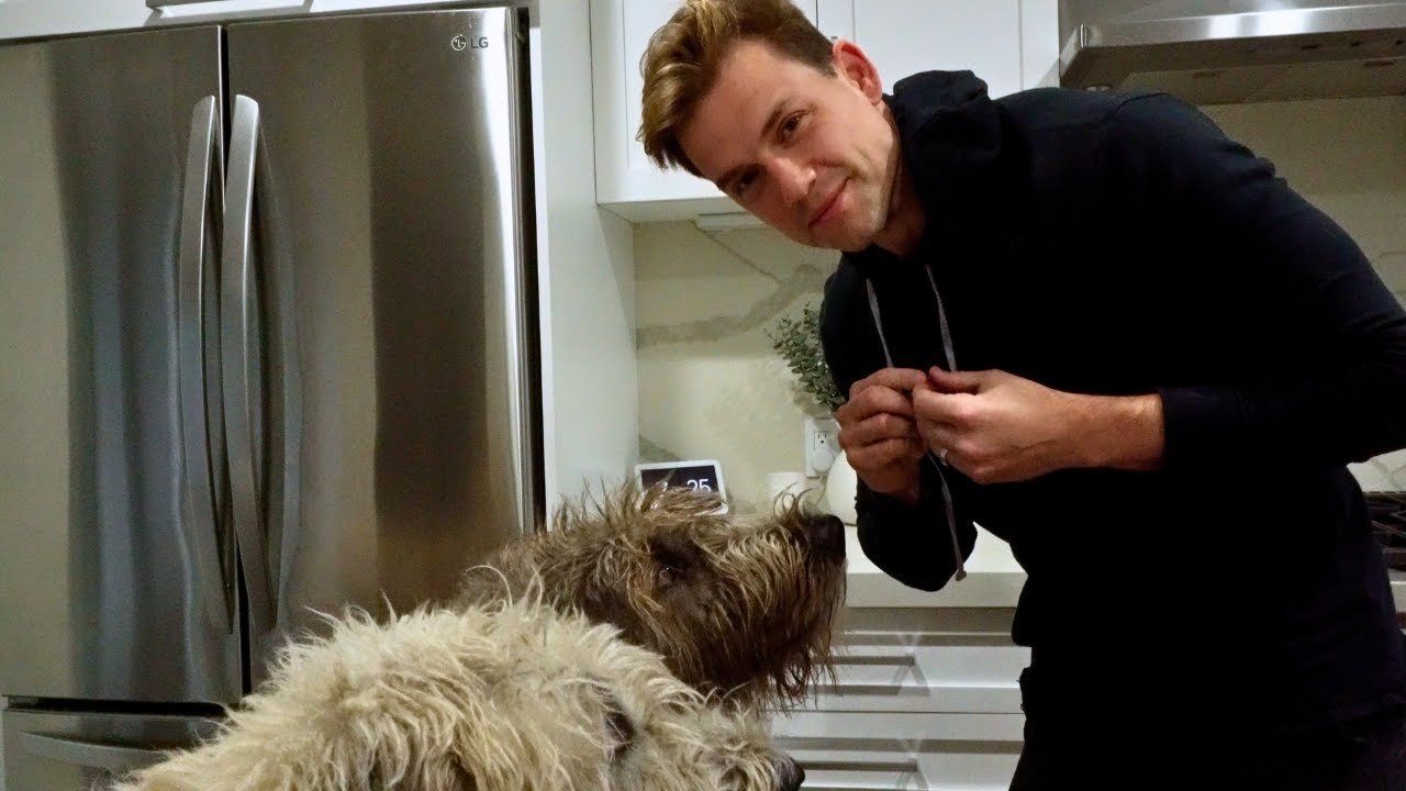 Daily Vlog: Hectic Mornings, Sleep Schedules and Crazy Dogs - YouTube