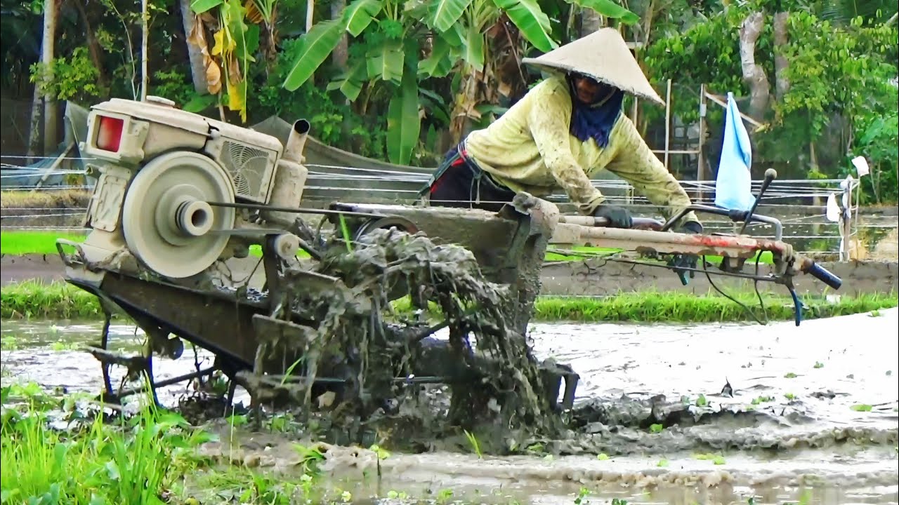 Chased by time, these tractor workers work at full speed tirelessly ...
