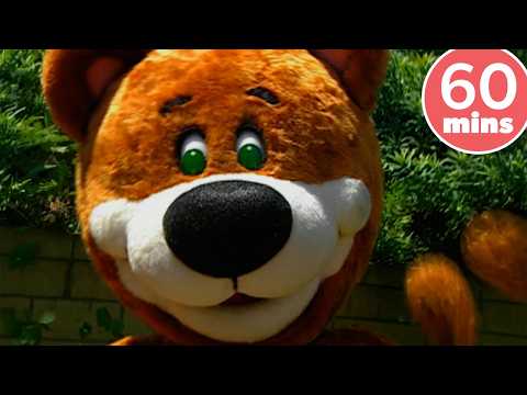 Baby Genius Music Videos for Kids 🎵 Say Say My Playmate 🎵 Songs for Toddlers