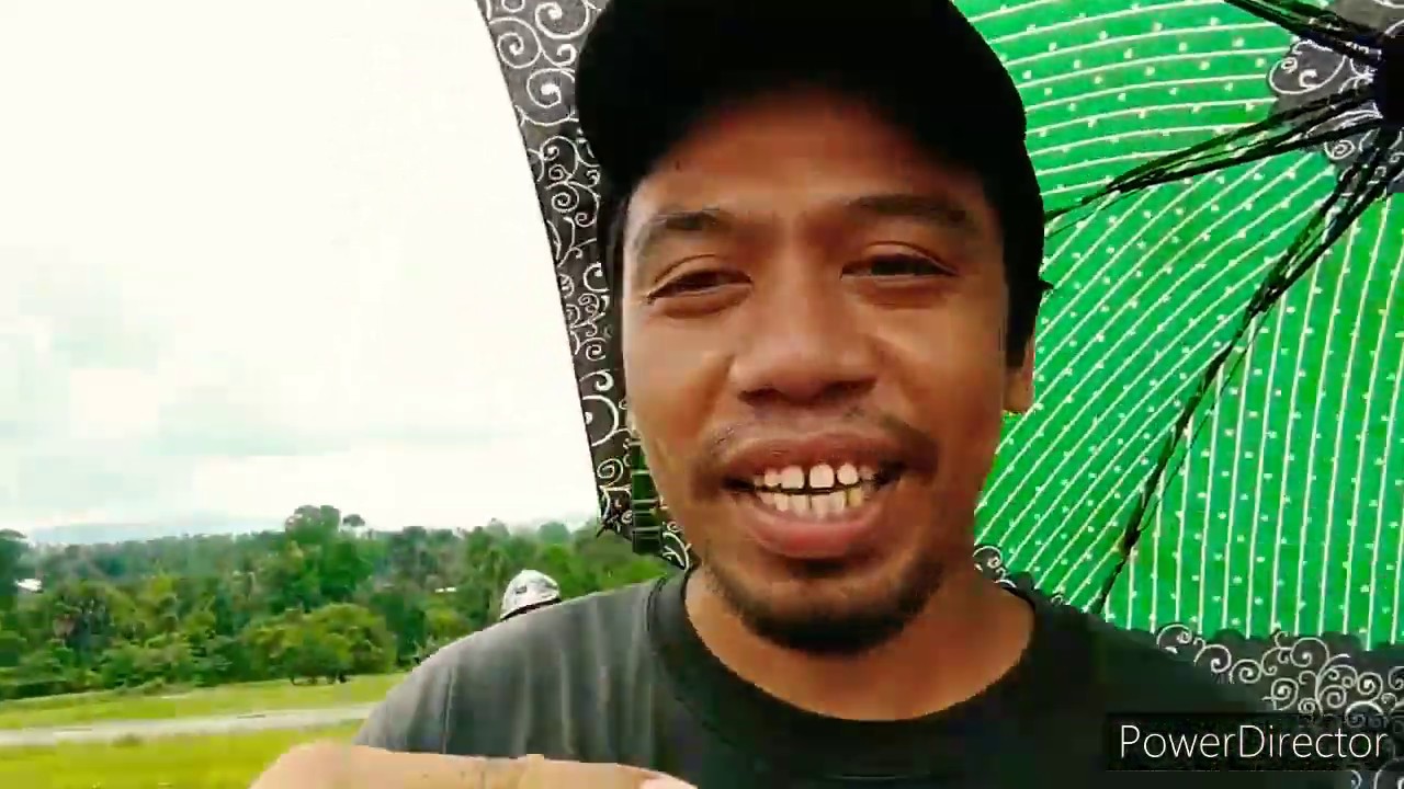 A day with ipil-ipil(Batilis) - YouTube