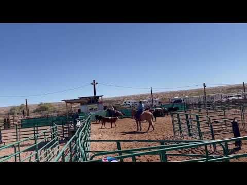 Sarah mini penning 1 - YouTube