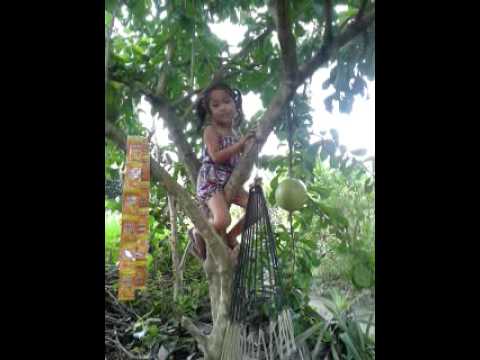 chLoe,dA drAmAtic mOnkey 😂 - YouTube