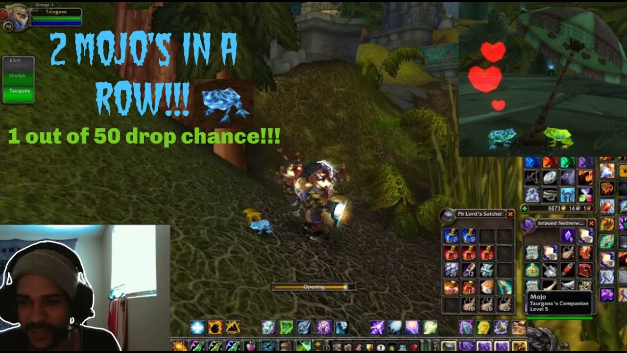Getting Two Pet Mojo's Back to Back! | TBC Classic - YouTube