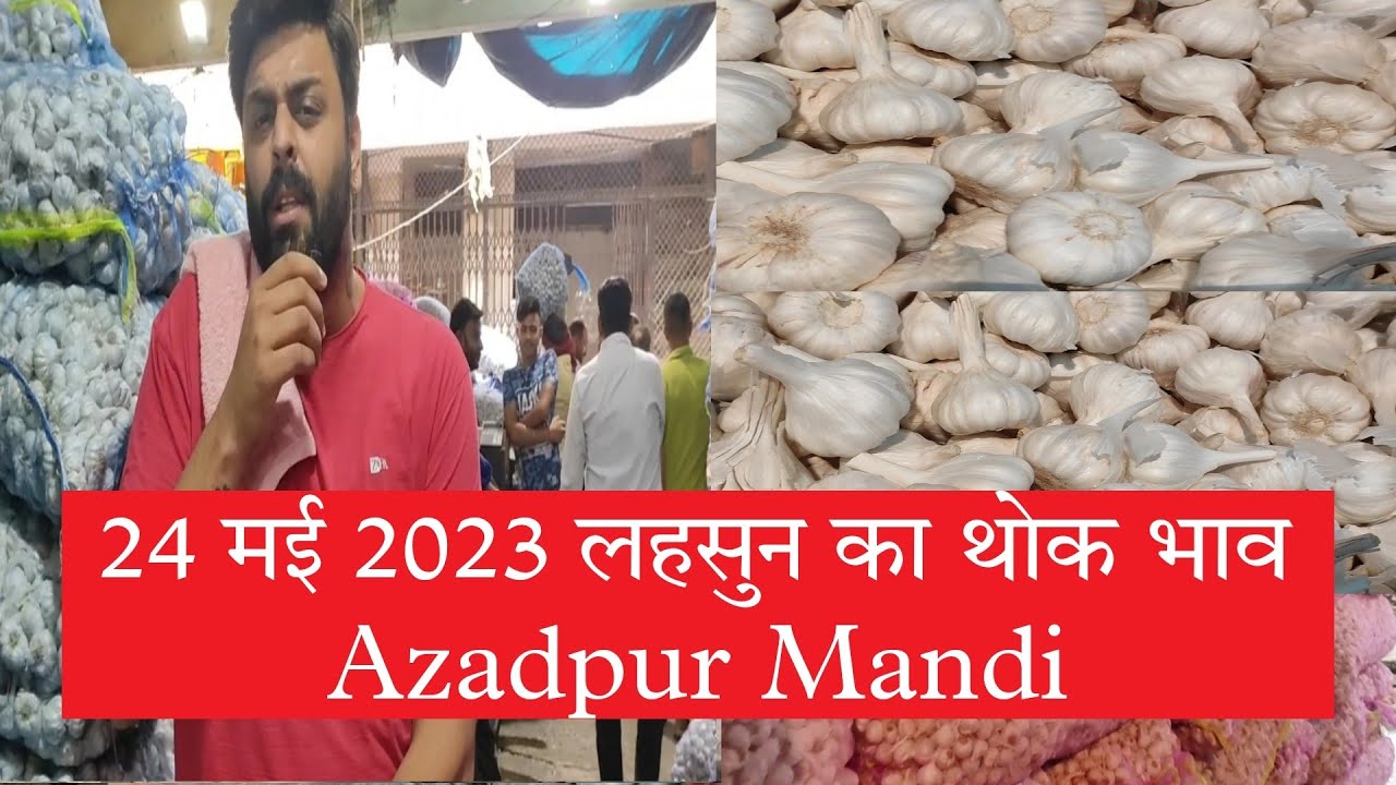 24 May 2023 दिल्ली लहसुन का होलसेल भाव || Today garlic price azadpur ...