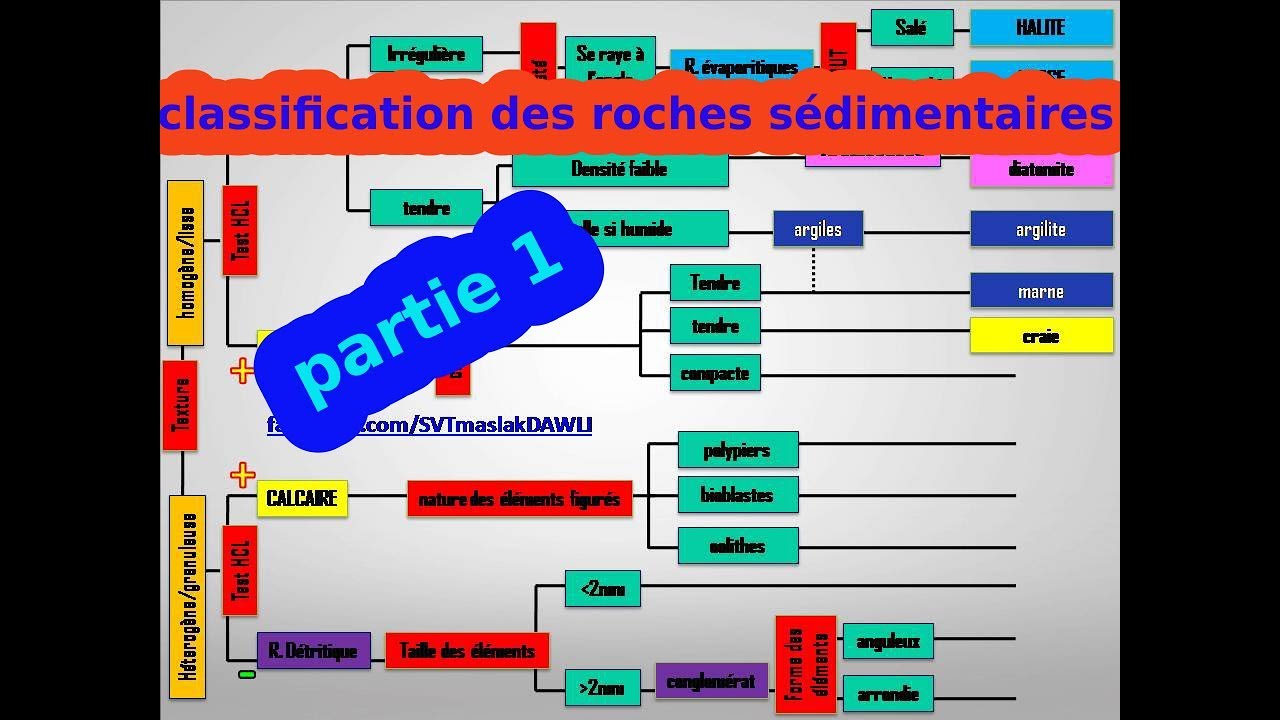 Classification des roches sédimentaire svt 1 ac BIOF Partie1 - YouTube