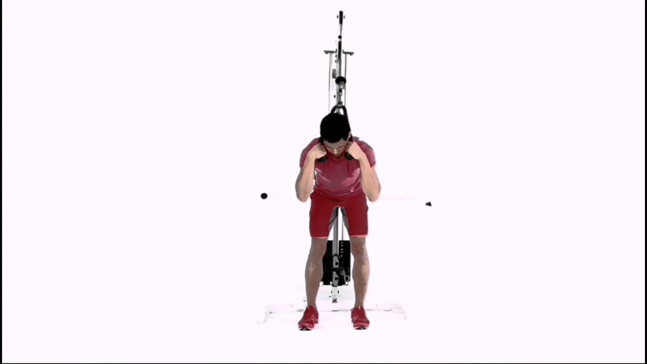 Standing Cable Crunch Exercise - YouTube