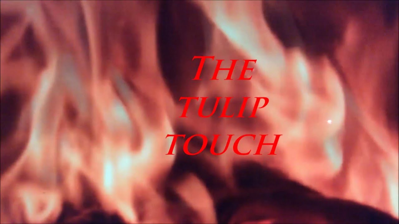 Tulip Touch Trailer - YouTube