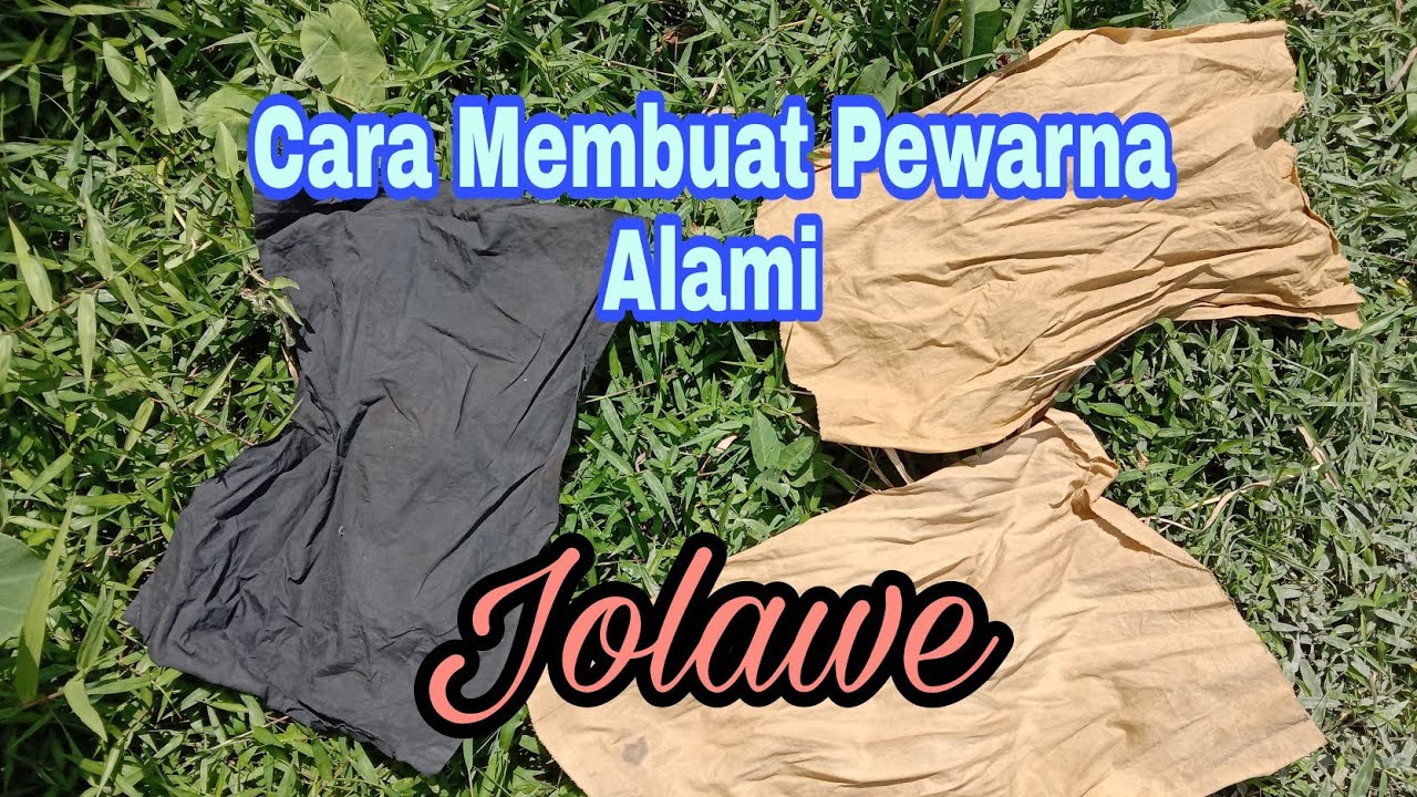 Cara Membuat Pewarna Alami Jolawe #tutorial #pewarnaalami #caramudah ...
