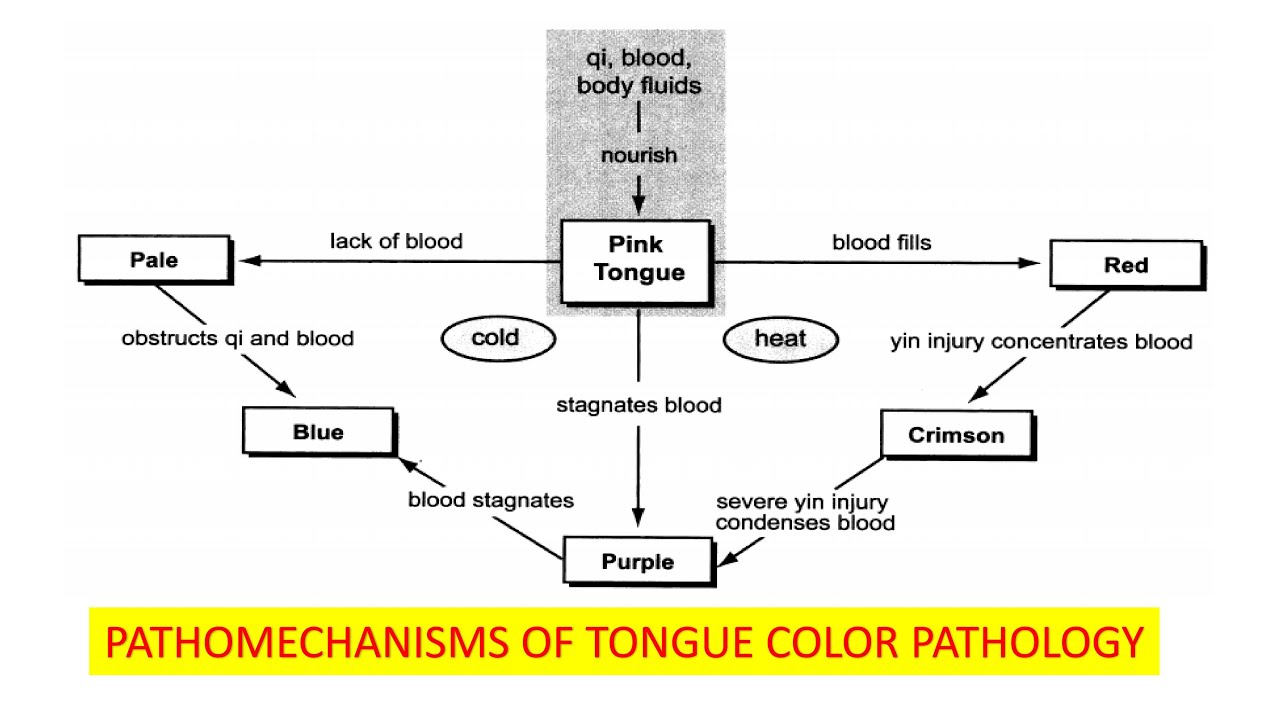 PATHOMECHANISMS OF TONGUE COLOR PATHOLOGY - YouTube