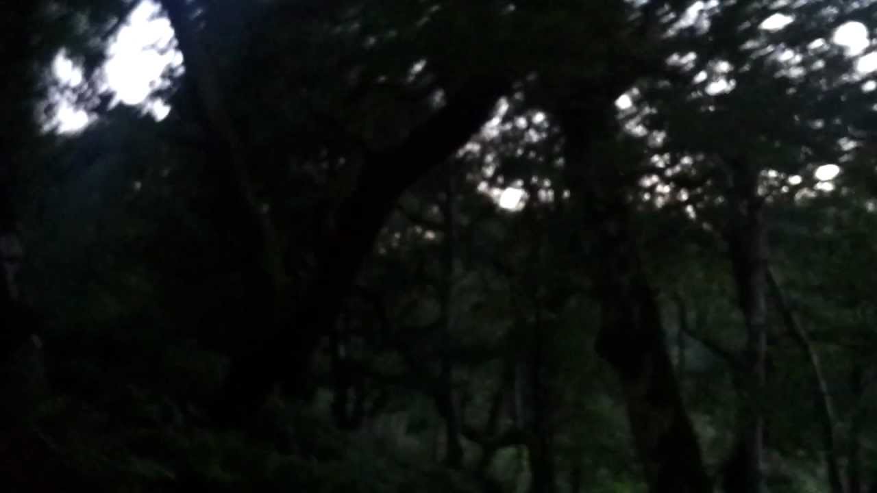 Random Shaky Cam Footage Part 2 - YouTube
