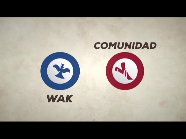 Logotipo De Nerdfighter