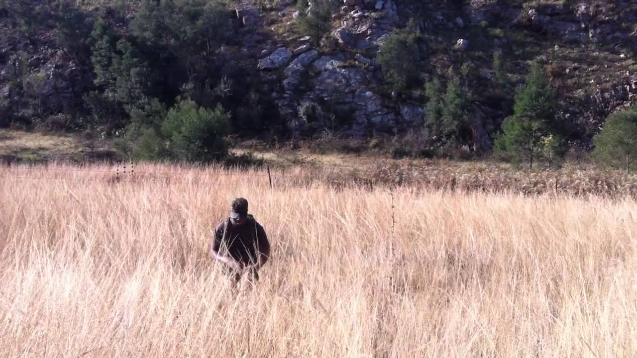 Prince Lindani in the forests - YouTube