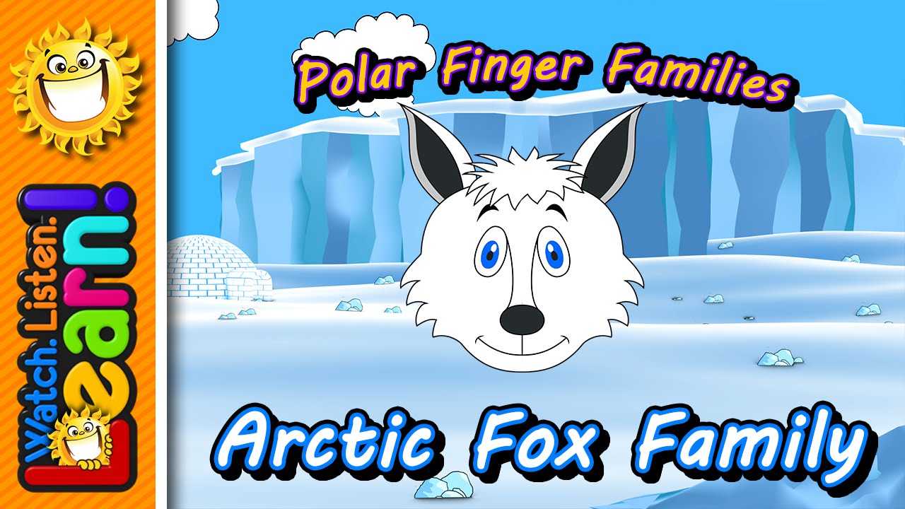 Arctic Fox Finger Family | WLL Polar Finger Family Series - YouTube