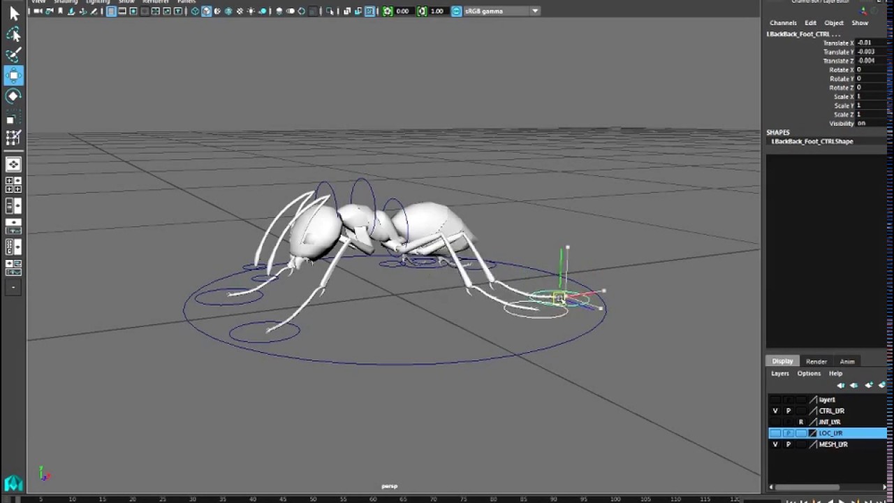ANT RIG - YouTube