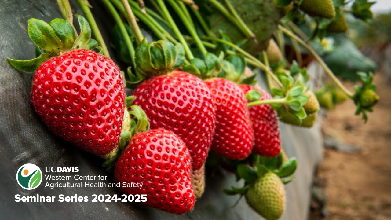 March 2025: Biosolarization: A soil-health management technique and ...