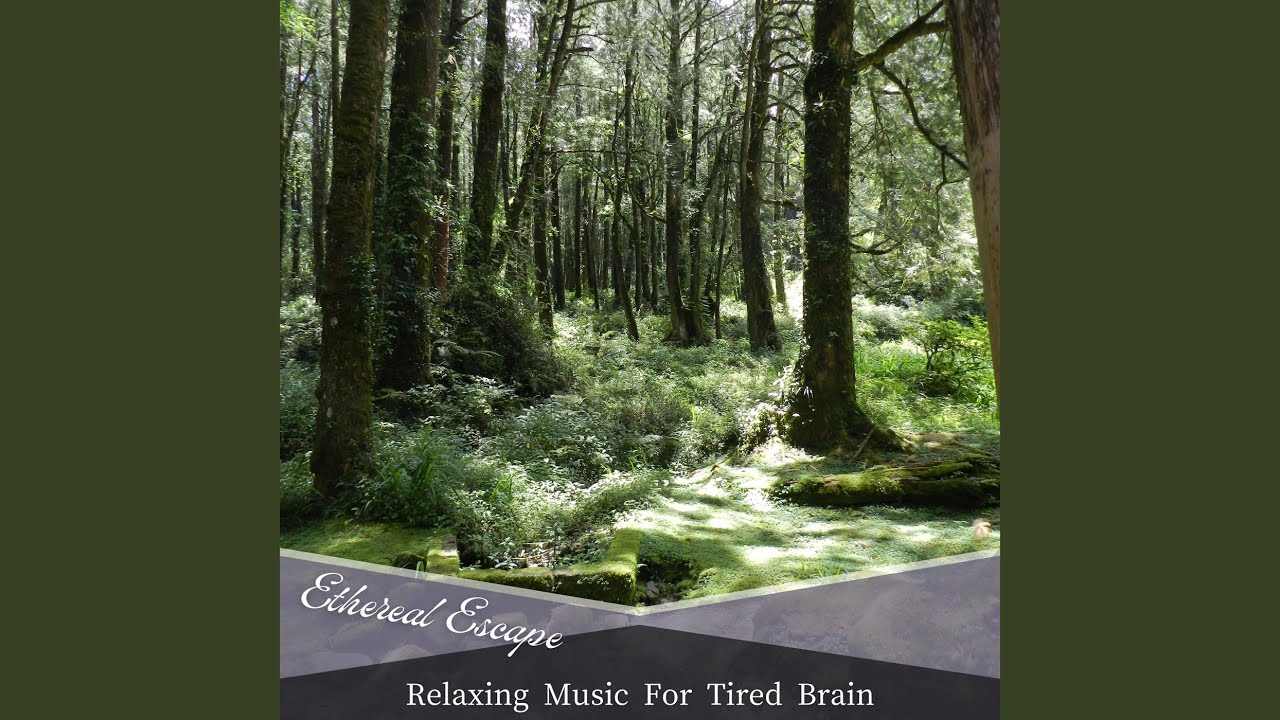 Calming Breeze Over Hills - YouTube