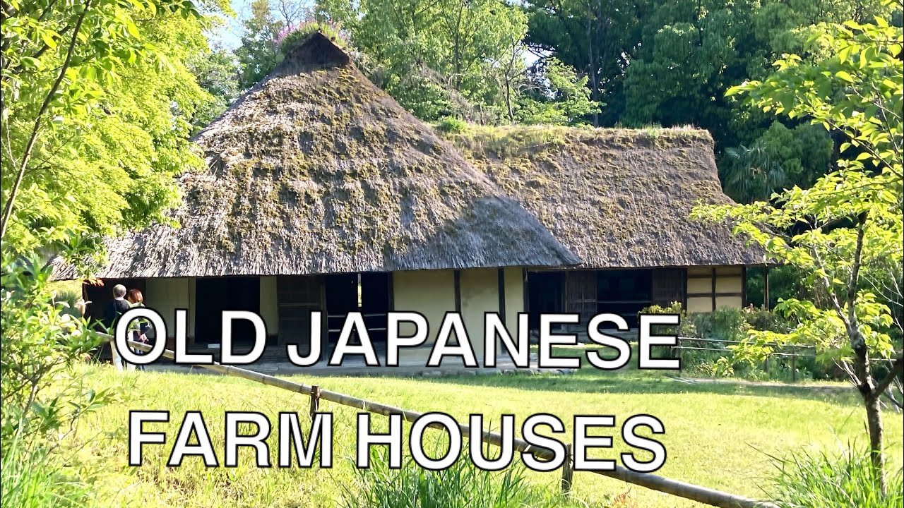 OLD JAPANESE FARM HOUSES Open-Museum - YouTube