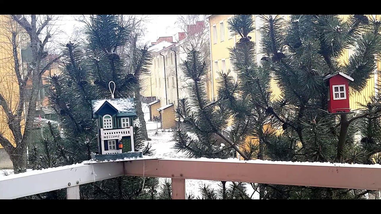 Koping, Sweden,2021 01 11 - YouTube