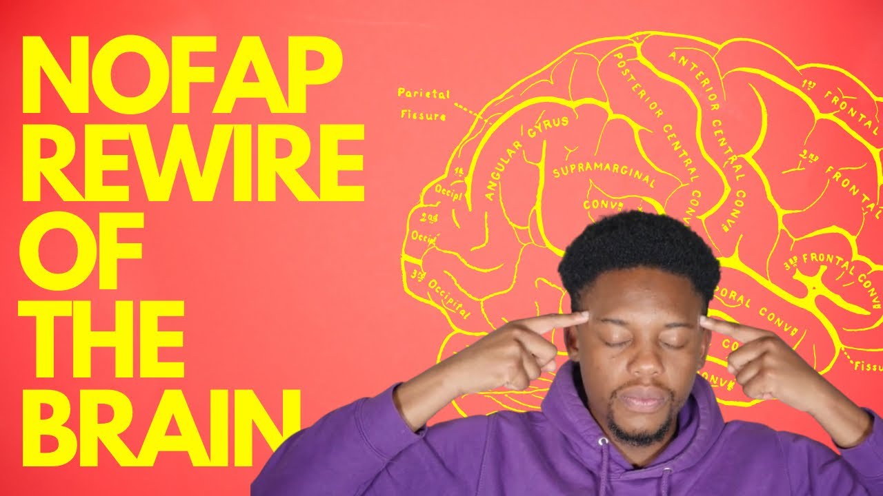 NoFap Day 23 | A Rewiring Of The Brain - YouTube