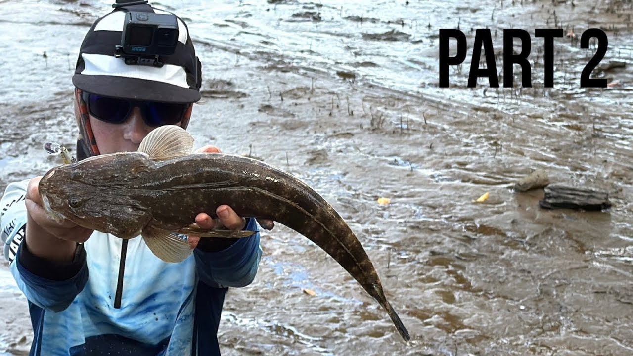 Part 2 | Trying to catch a 60cm Flathead - YouTube