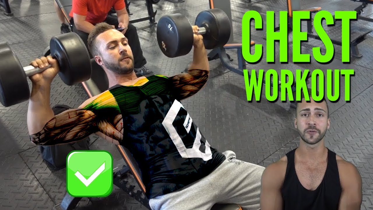 Le Workout PARFAIT Pour Les PECS! - YouTube