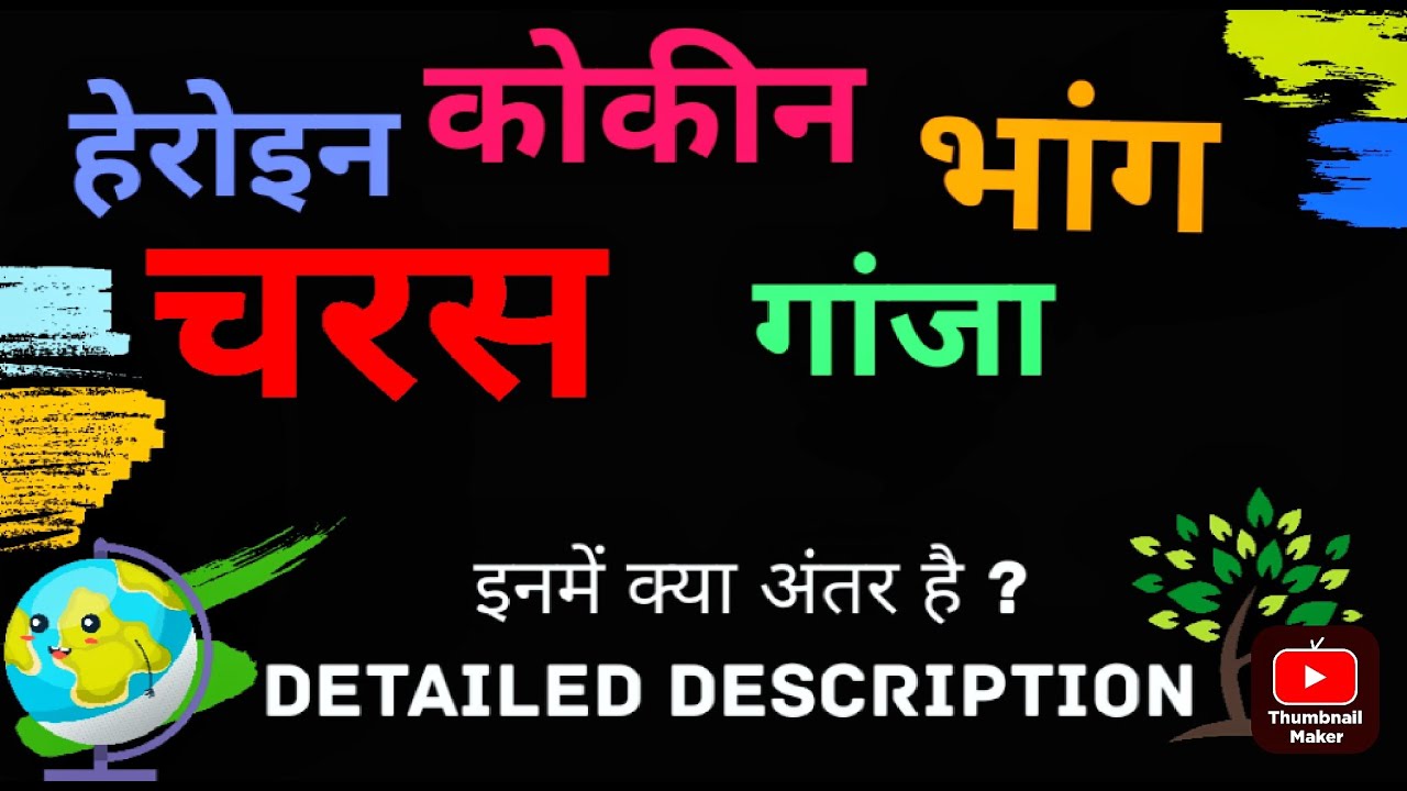 What is Difference between Bhang, Ganja(Marijuana), Charas (Hash ...