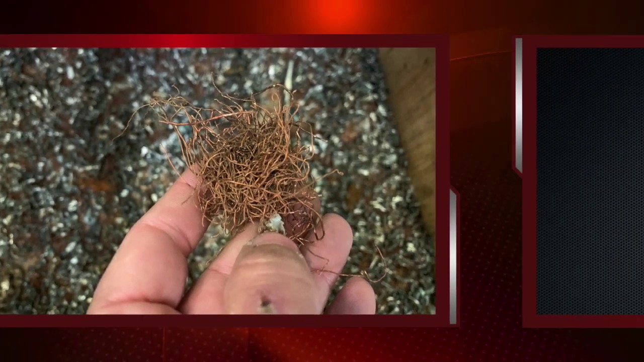 Hammer Mill Shredder processing Copper Meatballs | STOKKERMILL - YouTube