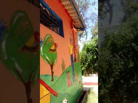 Antalya Büyükşehir Belediyesi Sokak Hayvanı Geçici Bakım Evi