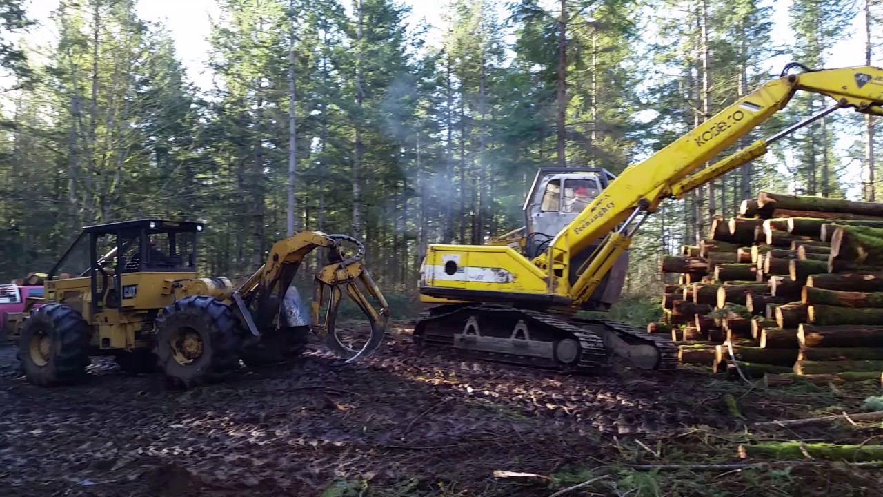 Caterpillar Skidder Logger, Kobelco Loader, Logging NW Washington - YouTube