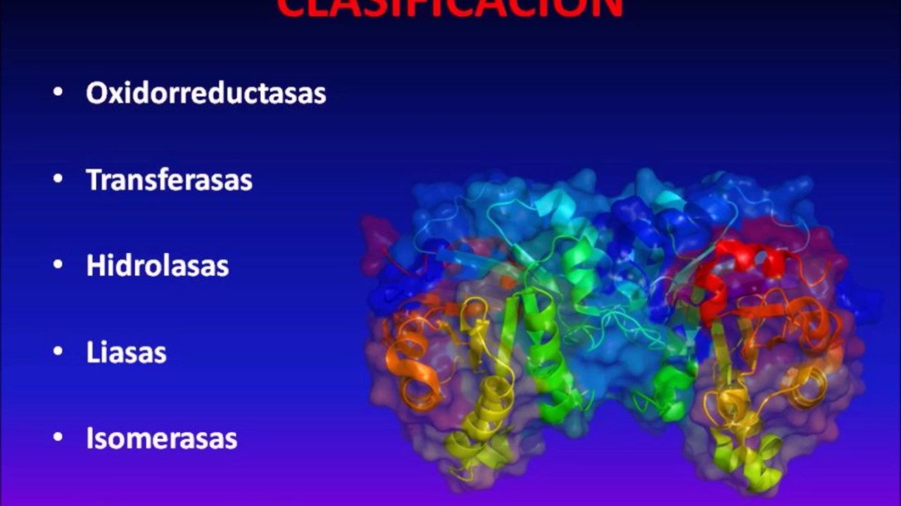 1. LAS ENZIMAS Y SU CLASIFICACIÓN - YouTube