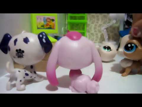 İlk aşkım kısa film 1 bölüm