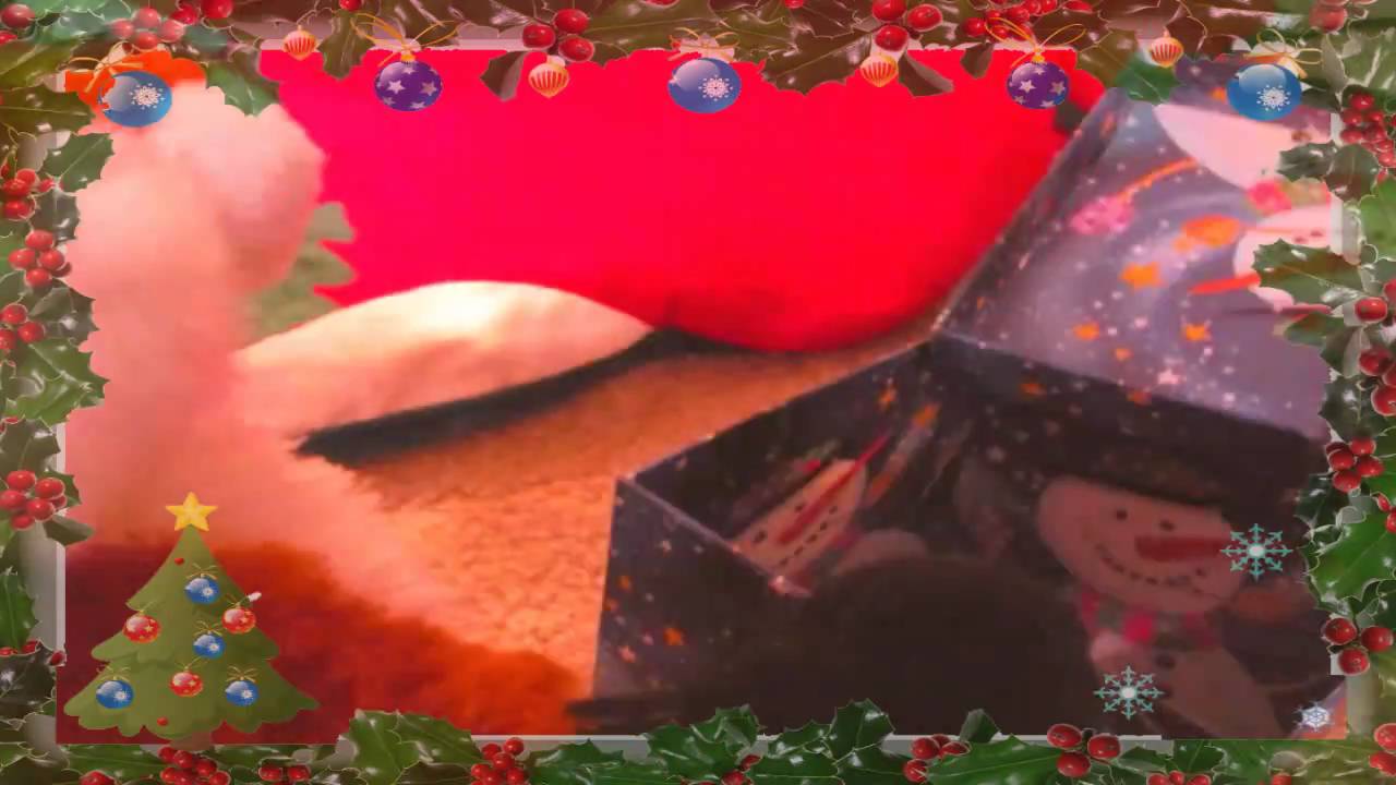 Webkinz Holiday Stop Motion - Happy Holidays! - YouTube