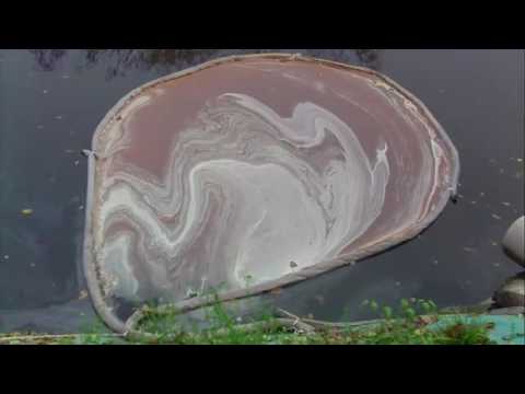 naturesorb: démonstration de boudin - YouTube