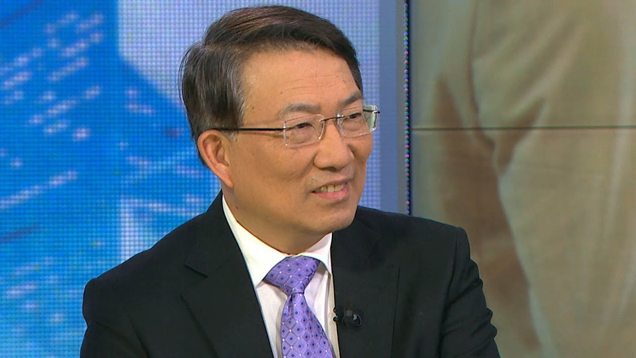 Liu Ping talks about Chinese immigration policy - YouTube