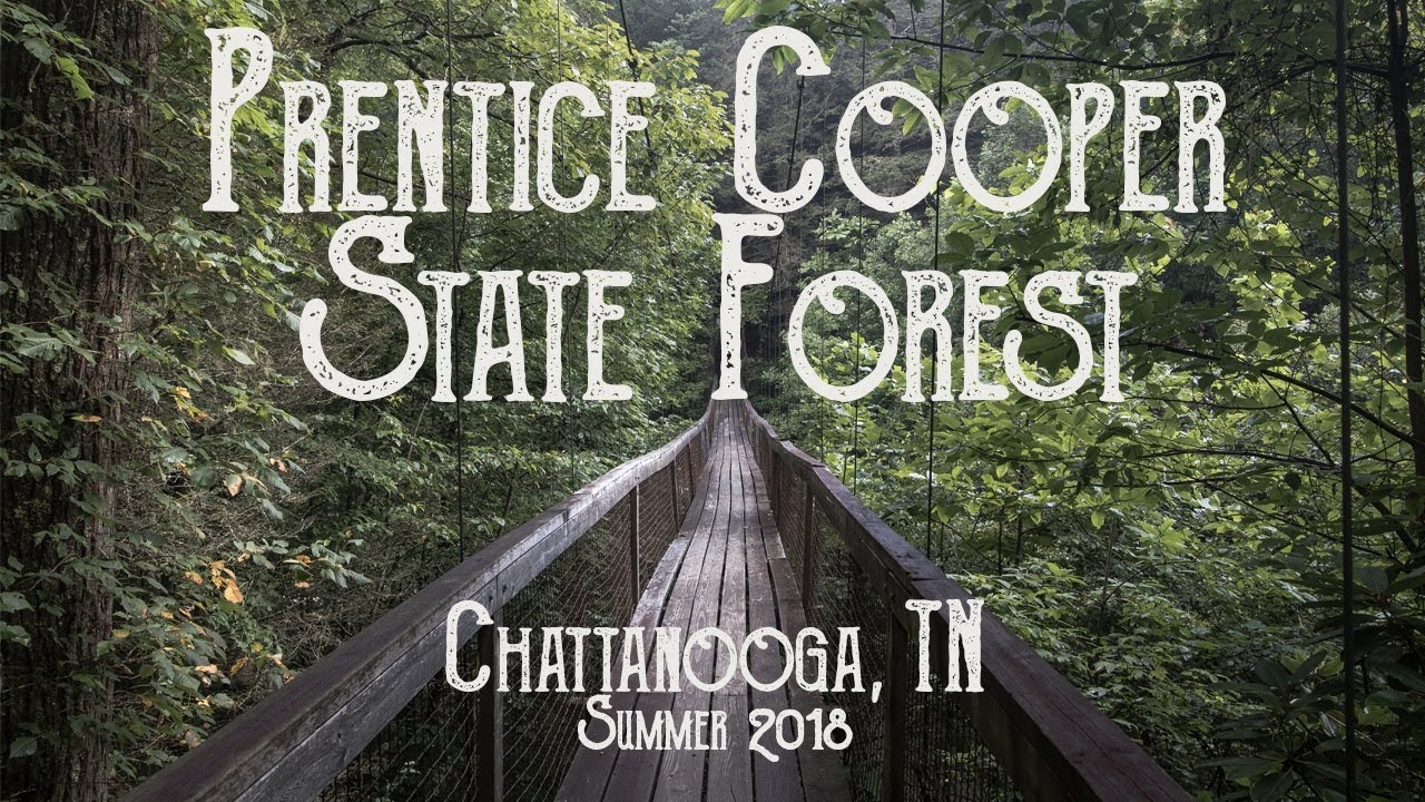 Backpacking in the Prentice Cooper State Forest - Chattanooga, TN - YouTube