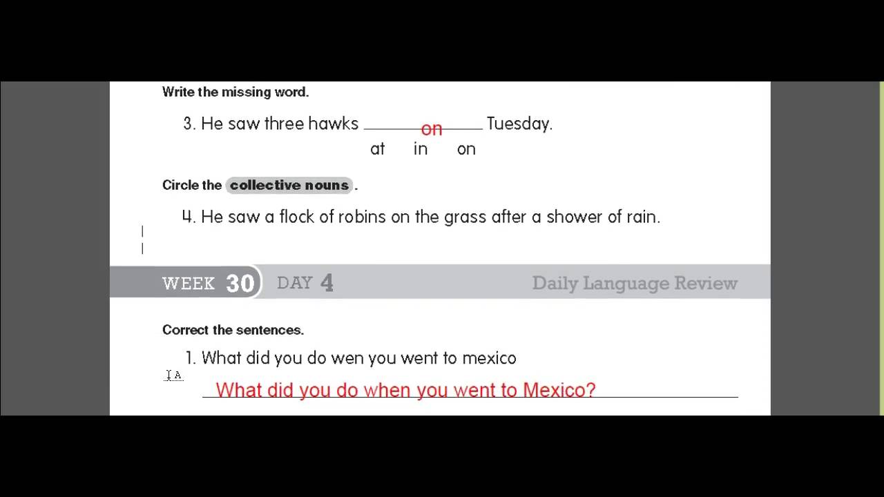 Daily Language Week 30 - YouTube