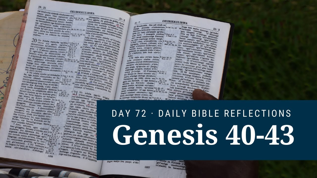 DAY 72 | Genesis 40-43 | The Bible in a Year - YouTube
