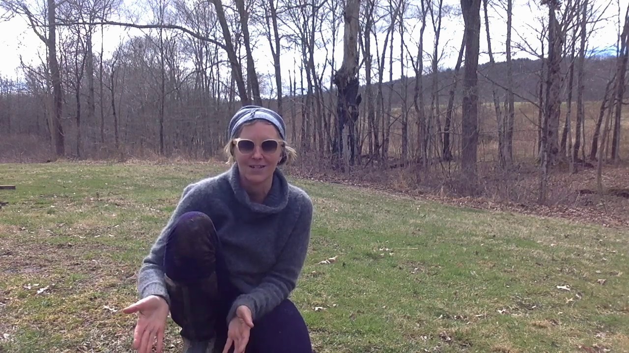 Nature Supplied Obstacle Course | "Nature Nugget" Outdoor Activities ...