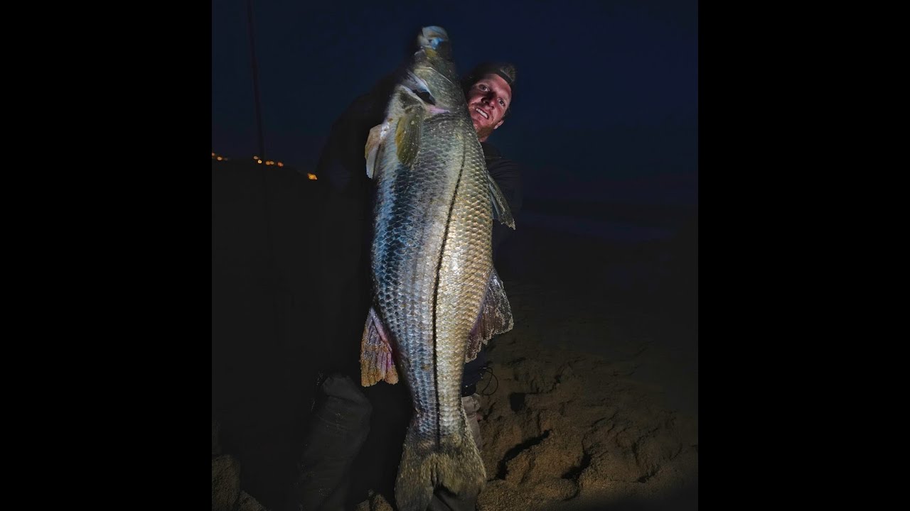 Wesley Brough – aka Cabosurfcaster discusses his catch of a potential ...