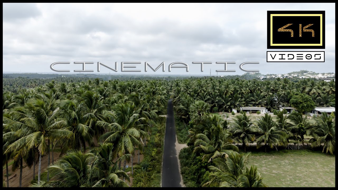 pollachi highway road side nature go green cinematic clips - YouTube