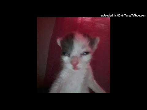 Kaytranada - Fuck NFT's (feat Jackel Maykel) **[UNRELEASED SONG FROM 99,9% LEAKED ]**
