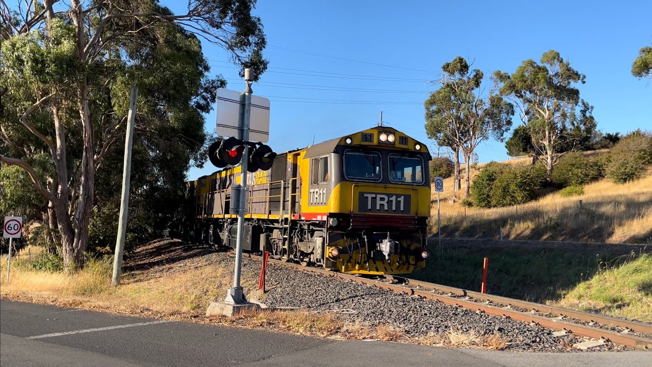 TasRail TR11 TR01 #33 train crossing Opossum Road - YouTube