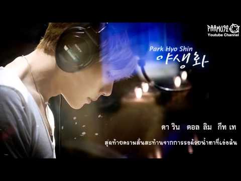 [KARAOKE THAISUB] Park Hyo Shin - Wild Flower (야생화)