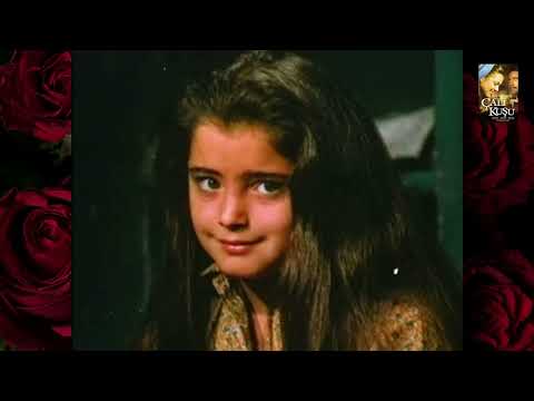 КОРОЛЁК/Çalikusu - ПТИЧКА ПЕВЧАЯ (1986) - 3 серия, часть 7/9