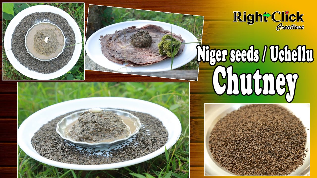 This chutney is very good combination with Ragi Rotti - Niger seeds or ...
