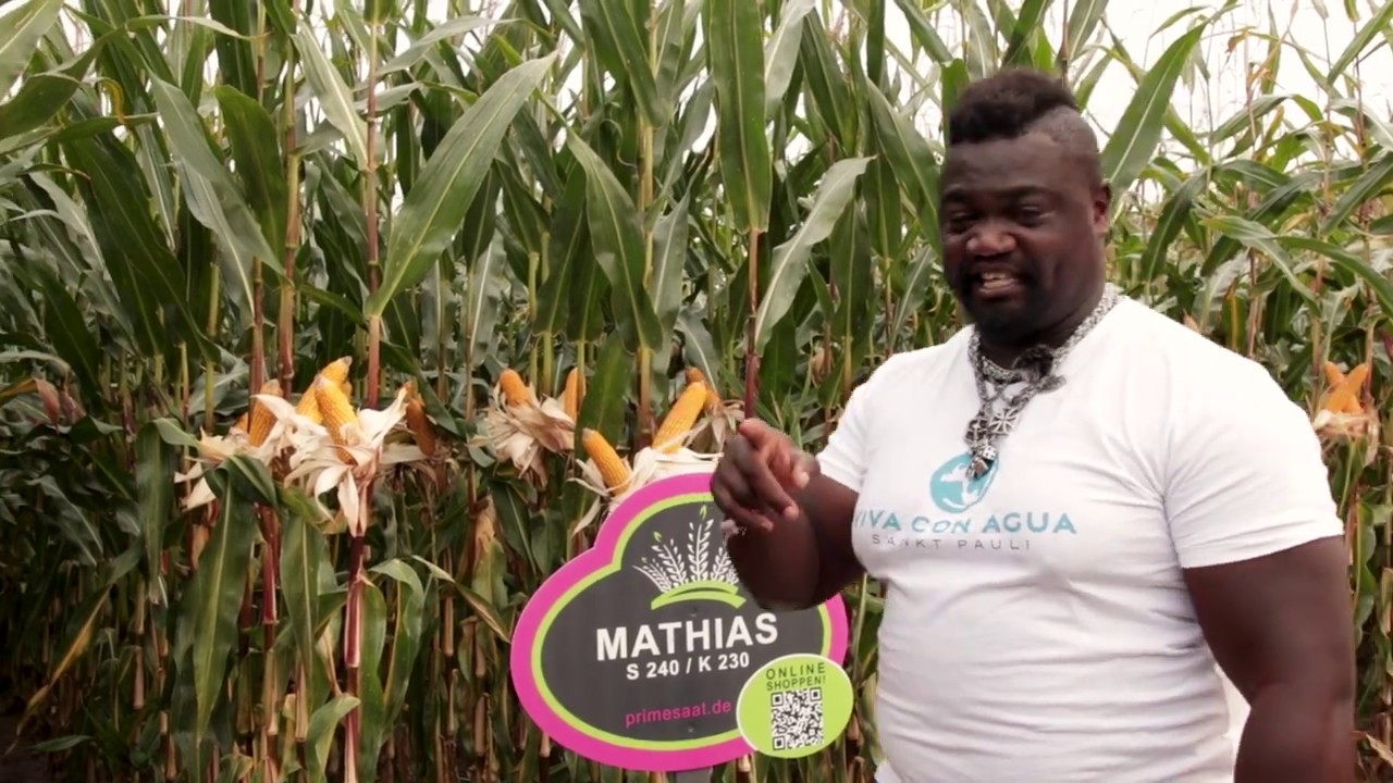 MATHIAS FAO S 240 / K 230 | Keno Veith präsentiert Primesaats ...