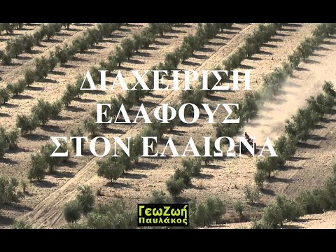 ΓΕΩΖΩΗ - ΔΙΑΧΕΙΡΙΣΗ ΕΔΑΦΟΥΣ ΣΤΟΝ ΕΛΑΙΩΝΑ - YouTube
