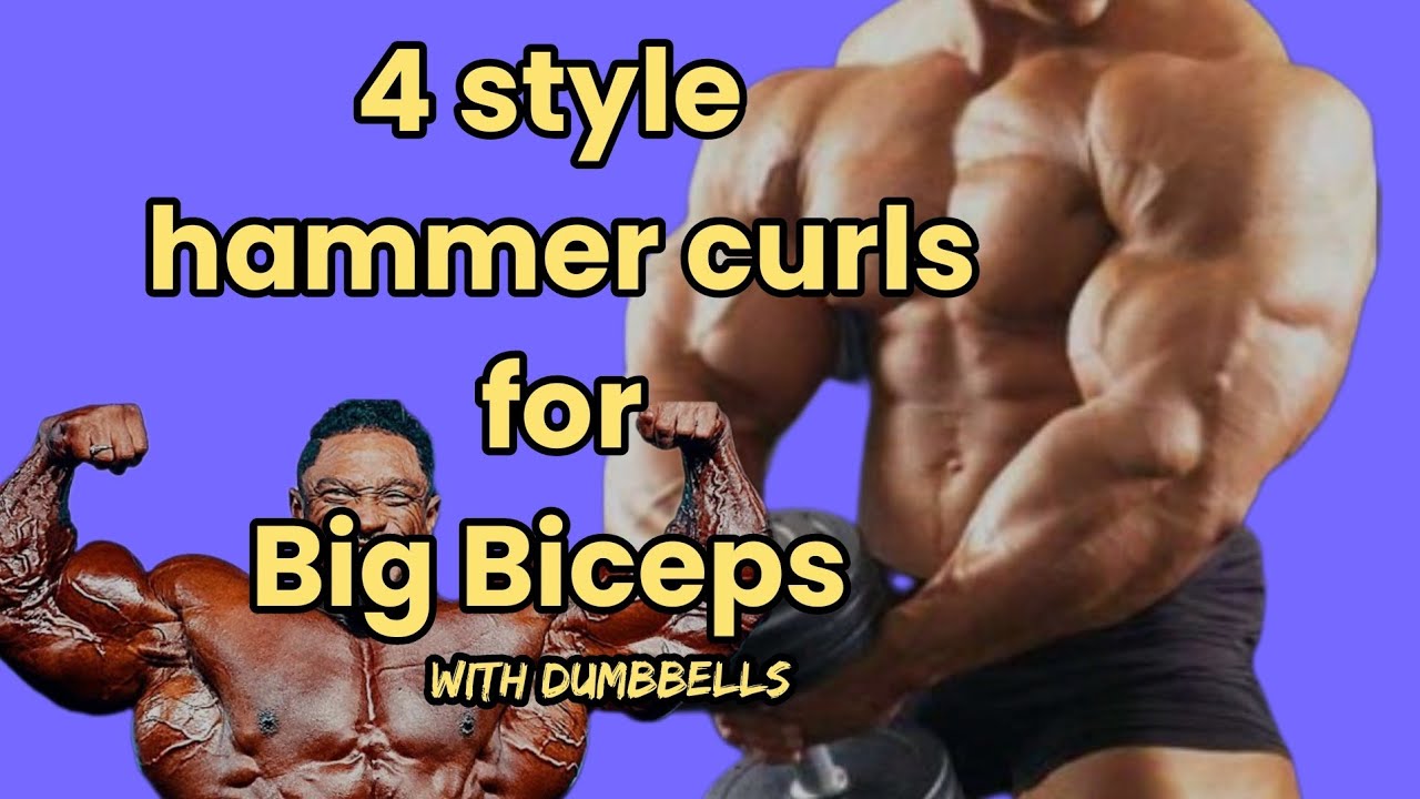 Top 4 Biceps hammer curls [ biceps workout] [hammer]#biceps - YouTube