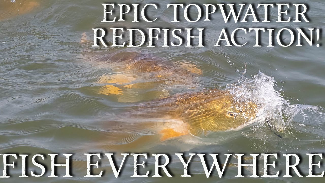 MASSIVE Redfish in Port Arthur TEXAS - YouTube