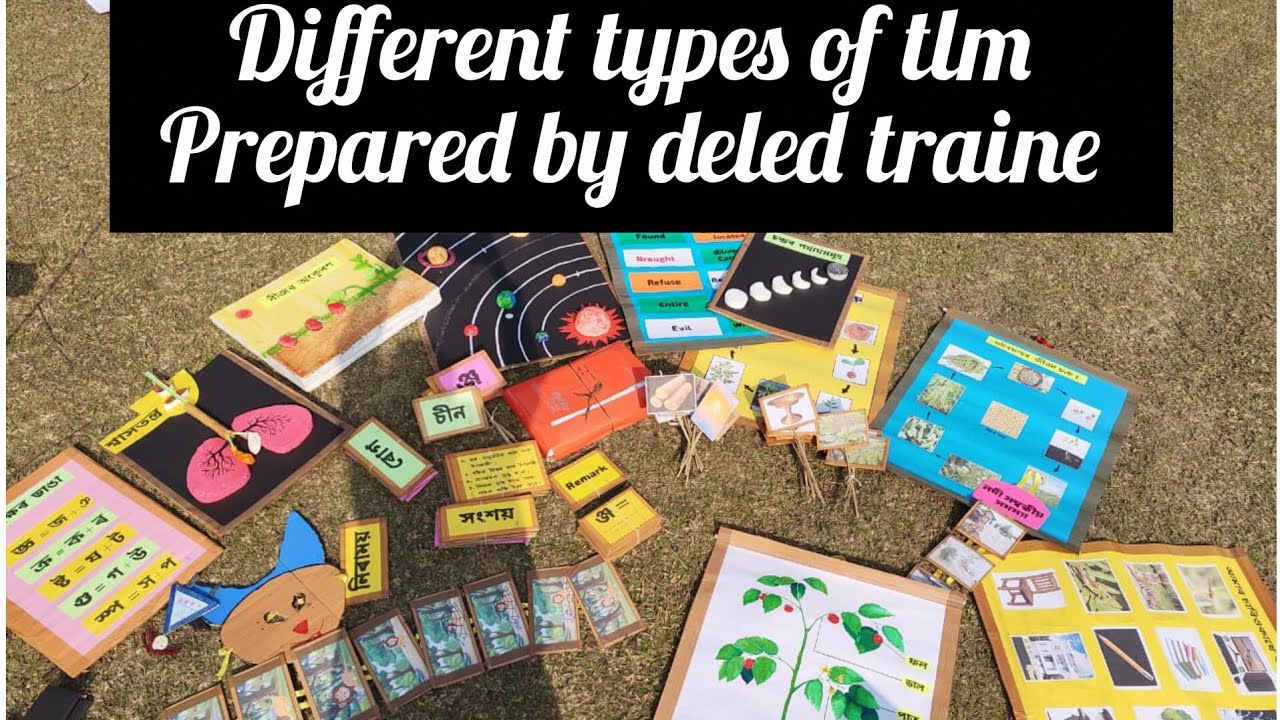Different types of tlm prepared by deled traine #scert#tlm - YouTube